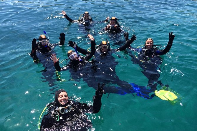 Try Scuba Diving! - Crikvenica/ Krk island - Final Thoughts
