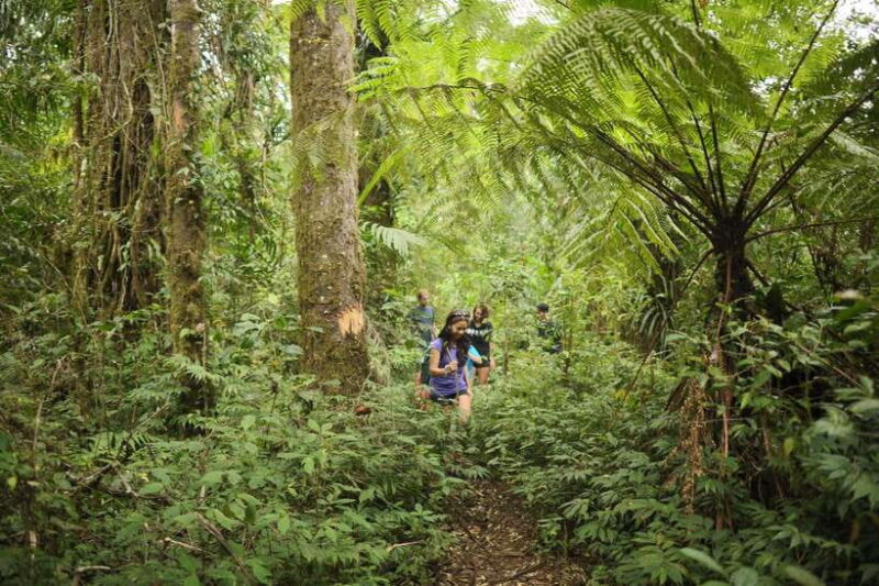 Ubud: Bayad Village, Waterfall and Cave Trek Adventure - Practical Details and Considerations