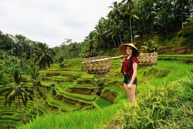 Ubud: Best of Ubud Full-Day Tour with Entry Tickets - Review Highlights from Travelers