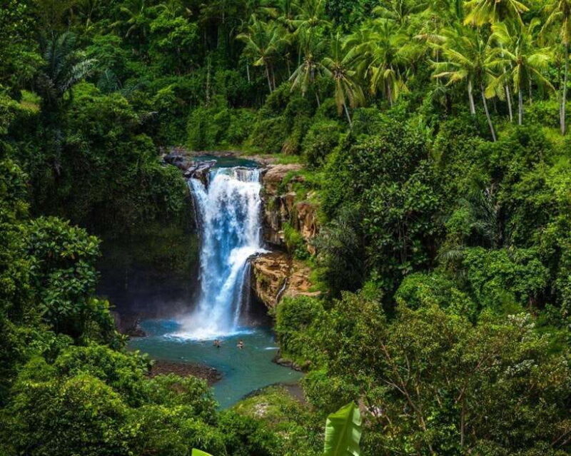 Ubud: Customised Bali Ubud Tour With Transfer - Why These Stops Matter