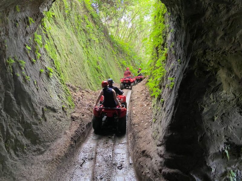 Ubud: Gorilla Face Quad Bike, Jungle Swing, Waterfall & Meal - Practical Tips for Your Day Out
