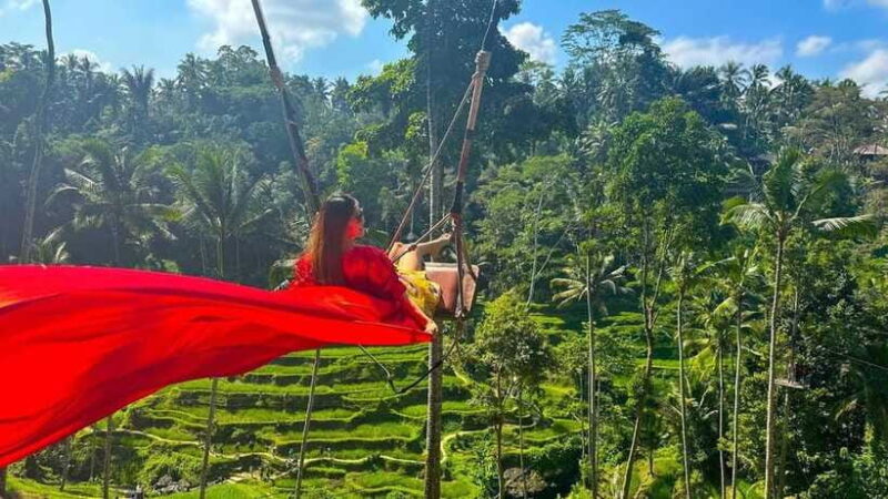 Ubud Monkey Forest, Rice Terrace, and Swing Private Tour - Stop 3: Tegalalang Rice Terrace