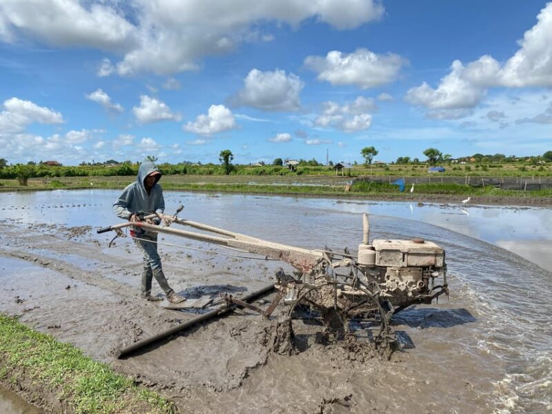 Ubud: PRIVATE E-bike Tour inside Rice Field with meal & pool - Who Will Love This Tour?