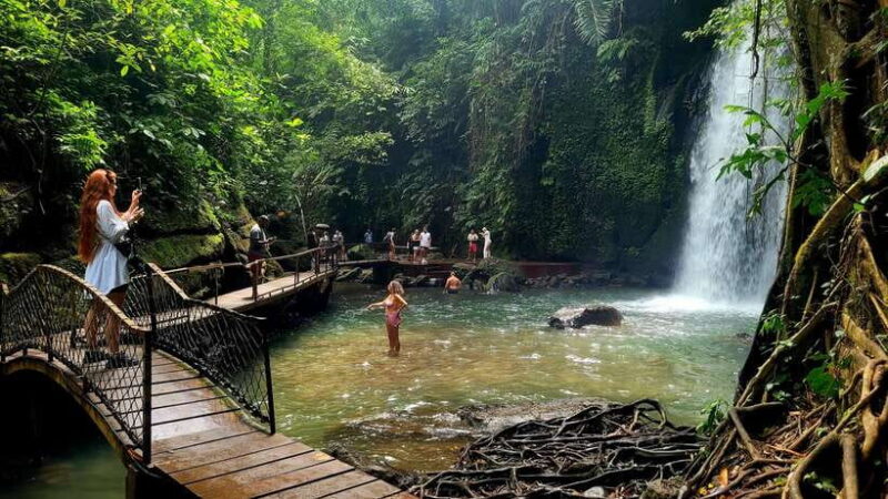 Ubud: Private Half-Day Tour with Rice Terrace & Waterfall - Why Choose This Tour?