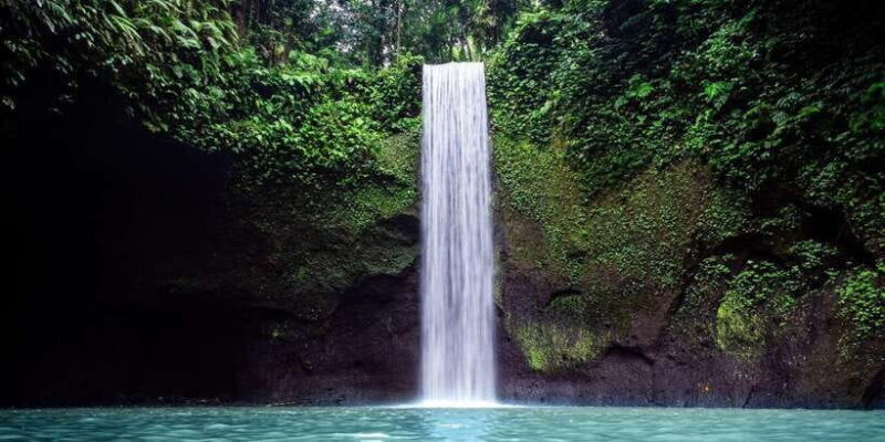 Ubud: Rice Terraces, Water Temple, & Waterfalls Private Tour - The Guides – The Heart of the Experience