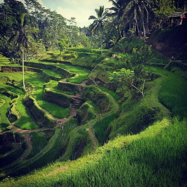 Ubud Top tour in a day - Final Thoughts: Is It Worth It?