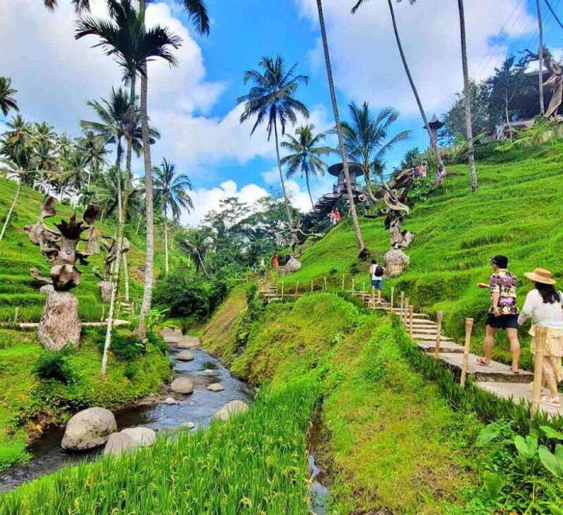 Ubud: Waterfall, Holy Water Temple,Swing&coffee plantation - Practical Tips for Travelers