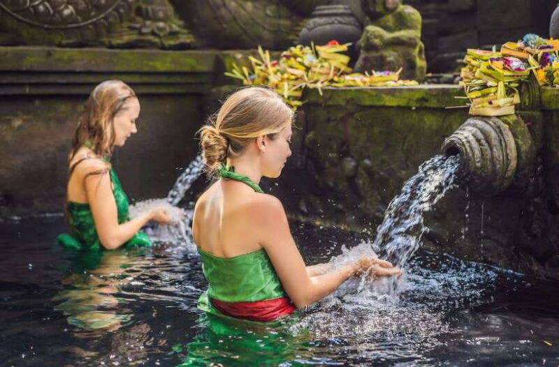 Ubud: Waterfall, Ricefield, Purification Ritual Private Tour - The Experience of the Guide