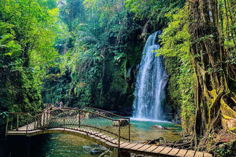 Ubud: Waterfalls, Sacred Monkey Forest & Rice Terraces Tour - Tegallalang Rice Terraces