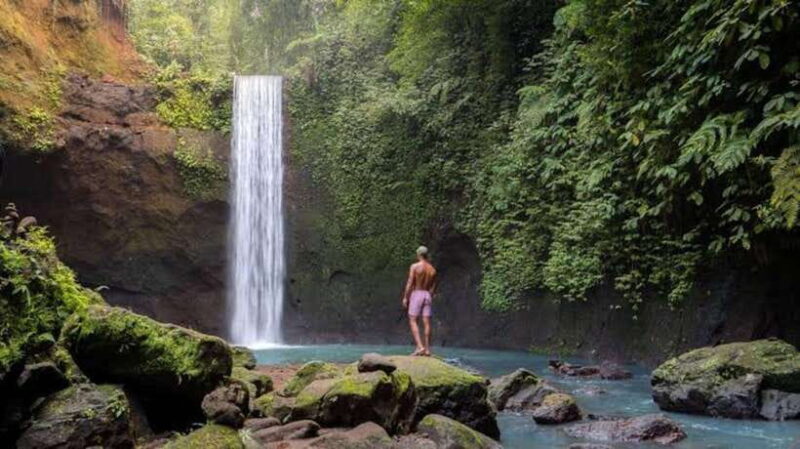 Ubud: Waterfalls, Water Temple & Rice Terraces Private Tour - Real Traveler Insights