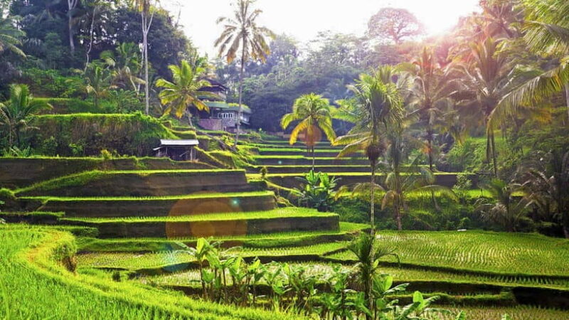Ubud: Wood Carving Class with Balinese Artisans - FAQ
