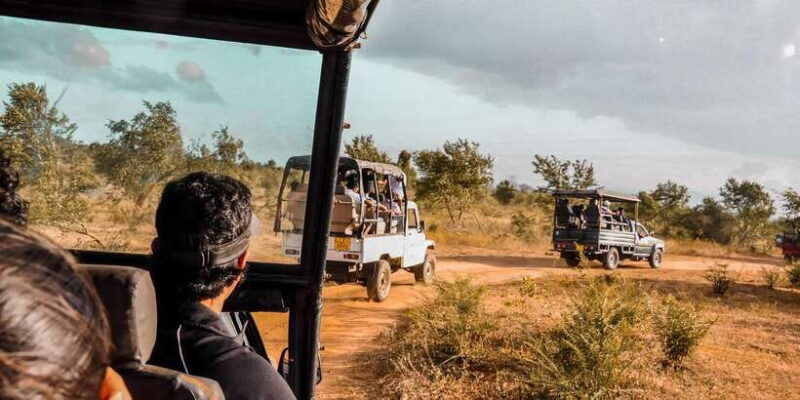 Udawalawa National Park: Private Safari - What You Can Expect on the Tour