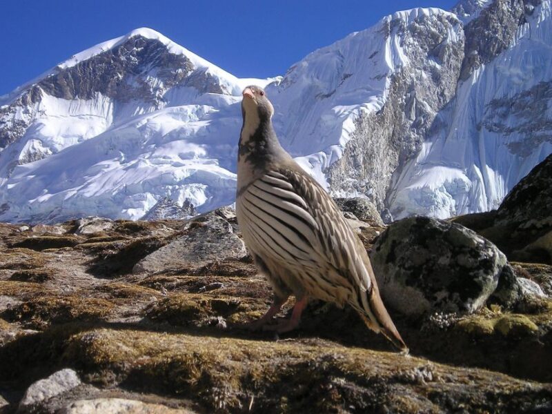 Upper Mustang trek Adventure: Mysteries of forbidden Kingdom - The Value Proposition