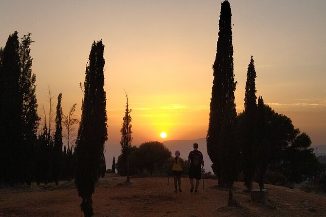 Urban Hiking, Dehesa del Generalife. Around The Alhambra. Granada - Price, Value, and Practical Tips