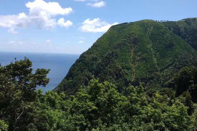 Van  Scenictour  Nordeste / Povoação  Full Day/ with lunch (Shared) - What the Tour Includes and What You Should Consider
