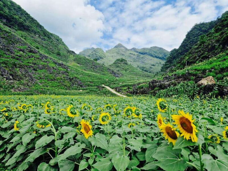 Vietnam: 7-Day North Vietnam Tour with Accommodation - Who Should Book This Tour?