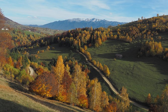 Village life in Transylvanian Carpathian mountains - 8 days - Final Thoughts