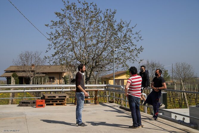 Vineyard Tour and Tasting of Lugana Wines - FAQ