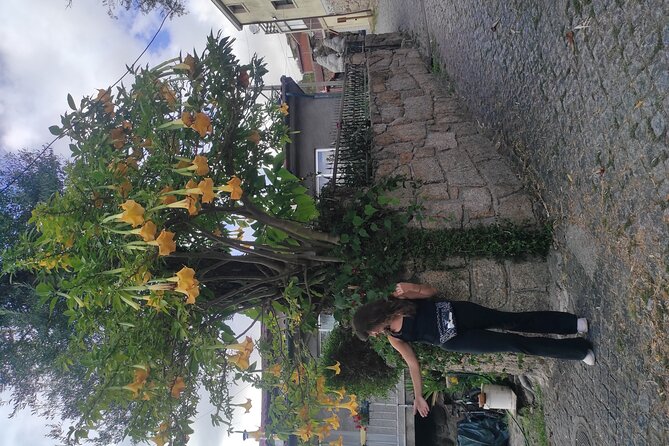 Vinho Verde 2 Wineries + Cultural Guimarães - Private/from Porto - Authentic Insights from Past Travelers