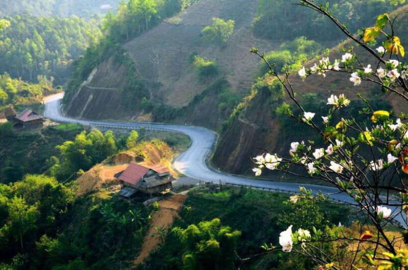 Visit all place in Dien Bien Phu 1 day - Private tour by car - The Value of This Tour