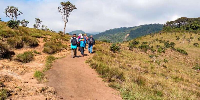Visit Horton plains and Nuwara Eliya from Kandy - What Reviewers Say