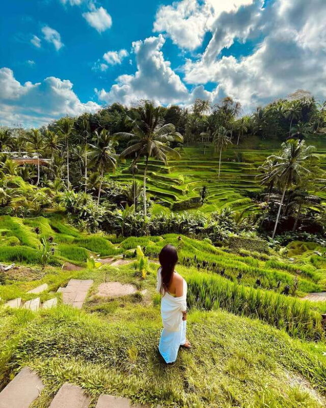 Visit Traditional Village, Waterfall, Coffee & Swing - Authentic Experiences and Insights from Travelers