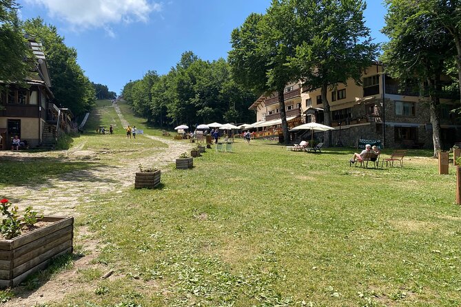 Walk on the volcano slopes - What’s Included and Practical Details