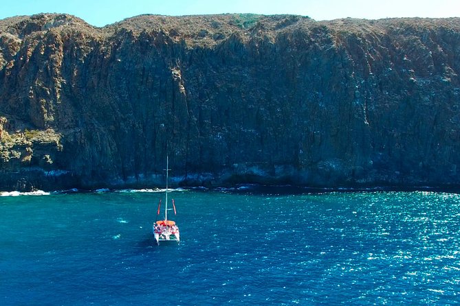 Whale watching and listening Eco-Catamaran Tour with Food Tasting - The Experience: What Sets This Tour Apart