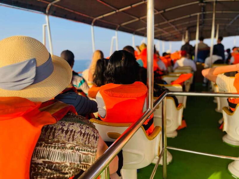 Whale Watching Tour with Transfers - Concluding Thoughts: Is This Tour Right for You?