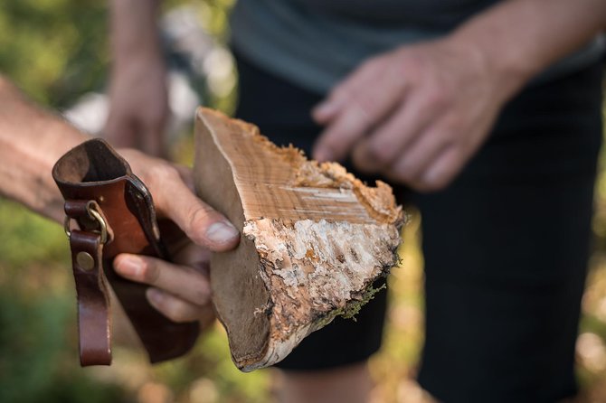 Wild Berries and Mushroom picking tour - The Sum Up