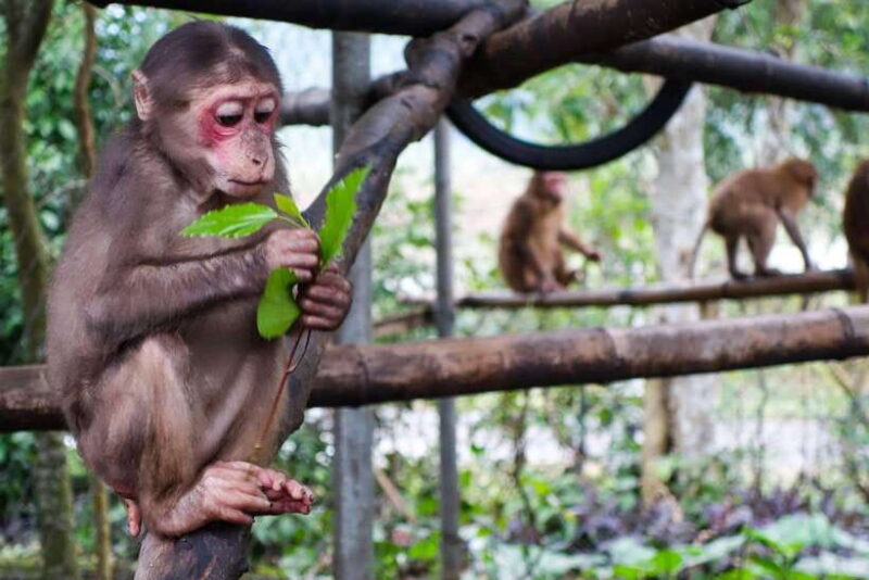 Wildlife and Jungle Adventure - 01Day in Phong Nha - The Waterfall and Refreshing Break