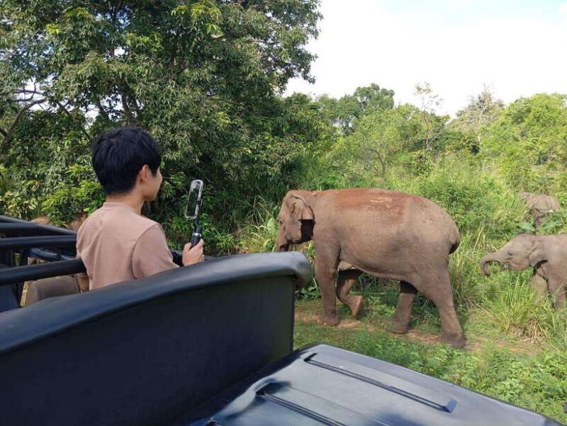 Wildlife experience at Minneriya National Park Safari - FAQ