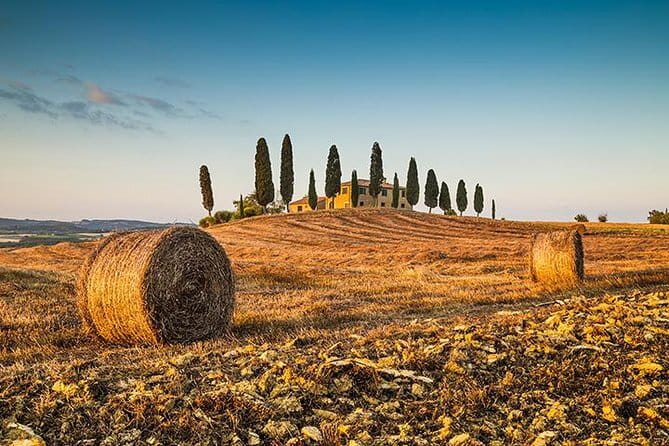 Wine Tasting and History Guided Day Tour in Chianti - What the Reviews Reveal