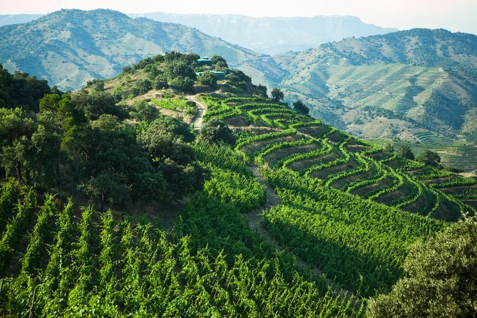 WINE TOUR PRIORAT: Visit 2 Top Wineries, Wine Tasting & Gourmet Lunch - FAQs