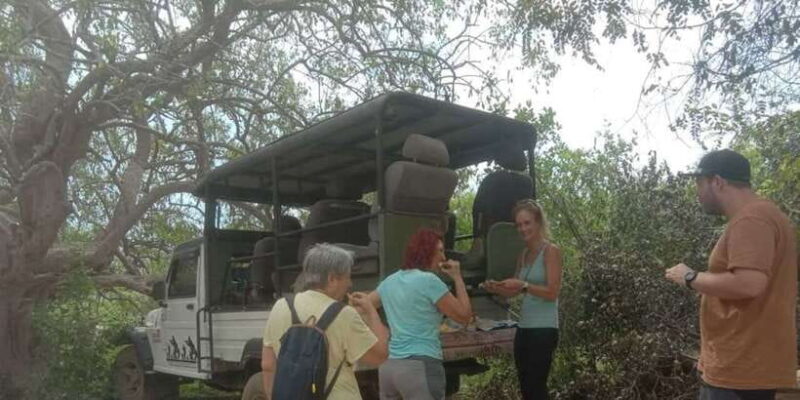 Yala National Park Full Day Safari - The Itinerary: What to Expect