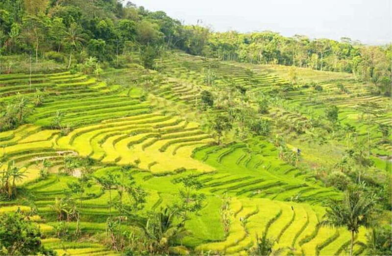 YOGYAKARTA; KEDUNG KAYANG WATERFALL AND SELOGRIYO TEMPLE. - Practical Tips for Travelers
