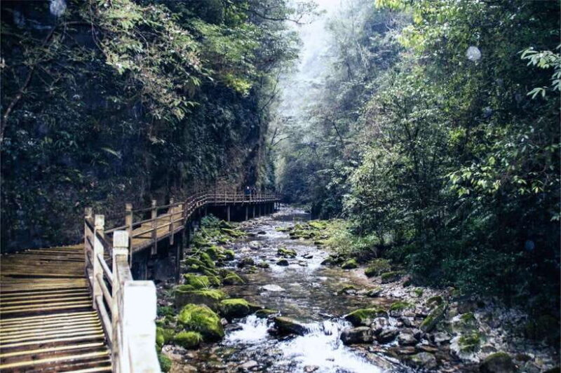 Zhangjiajie: VIP Zhangjiajie National Forest Park Day Tour - The Bottom Line
