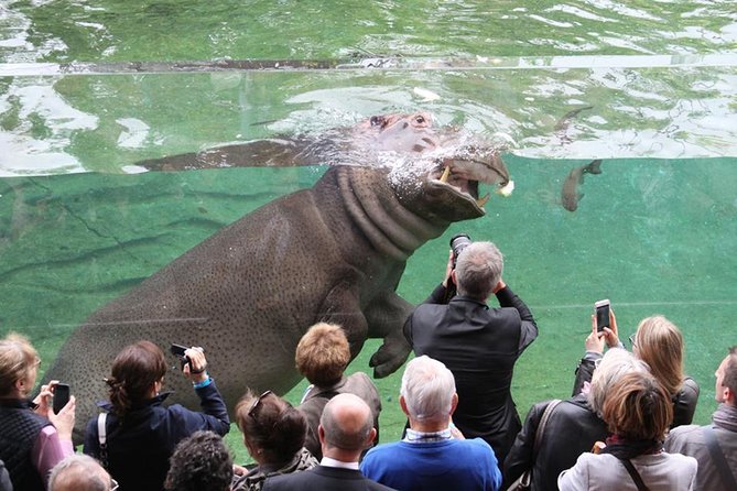 Zoo Of Beauval - Private Trip - What Travelers Say: Authentic Insights