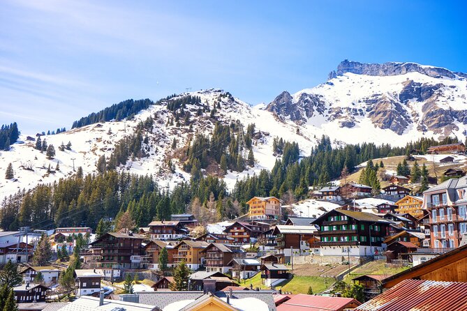 Zurich: Private Daytrip to Swiss Villages(Interlaken-Grindelwald) - Final Thoughts