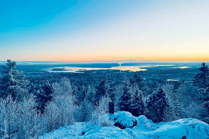 4 Hours Best View Of The Oslofjord Winter Edition