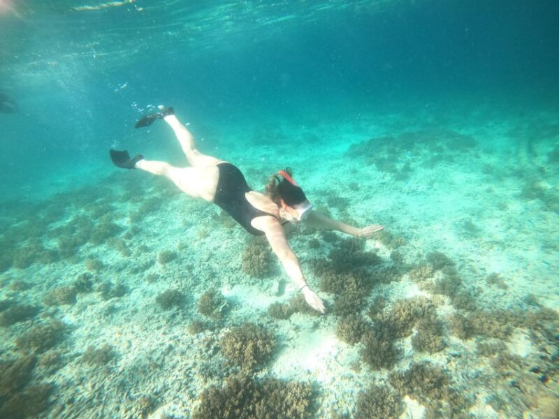 4 Hours Snorkeling 3 Gilis ( Trawangan,Meno, Gili air) - Key Points