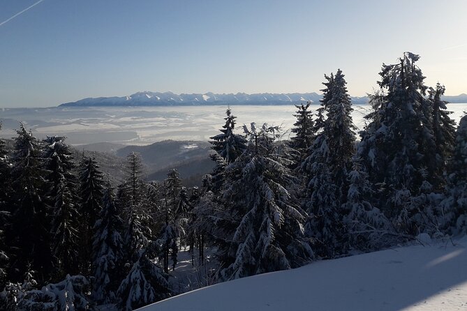 1-day Private Snowshoe Hike in the Gorce Mountains near Krakow - Final Words