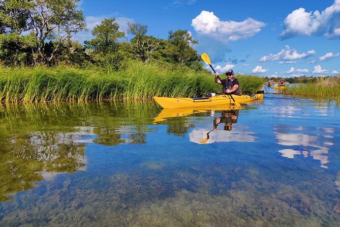1-Day Small-Group Stockholm Archipelago Kayak Tour - The Guides: Knowledgeable and Friendly