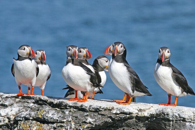 10 hours Private South Coast Guided Tour - FAQ: Your Practical Questions Answered