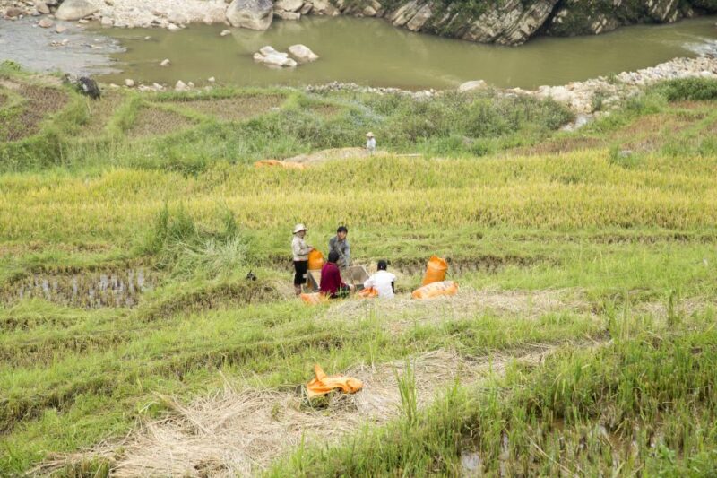 2-Day Sapa Adventure with long treks - overnight in hotel - Final Thoughts: Is This Tour for You?