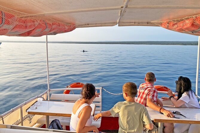 2-Hour Dolphin Guided Safari NP Brijuni from Fazana - FAQ