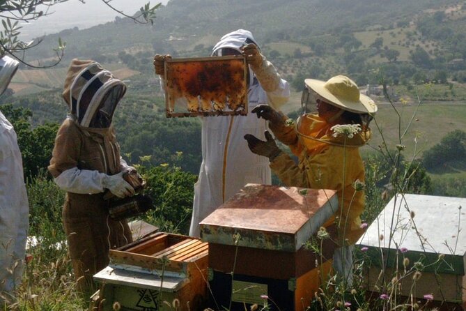 2 hours Beekeeping and Honey Tasting Activities in Assisi - FAQ