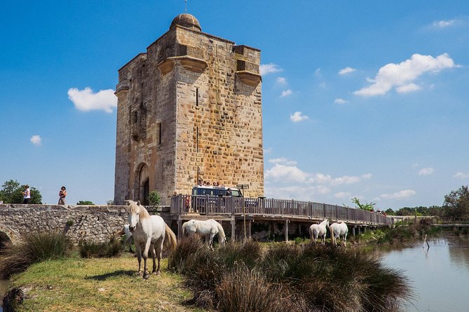 3.5 Hour Camargue 4x4 Safari from Le Grau-du Roi - Who Should Consider This Tour