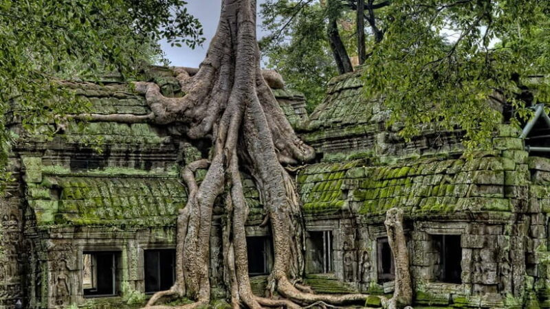 3-Day Angkor Wat & All Major Temples & Kulen Mount Waterfall - Who Will Love This Tour?