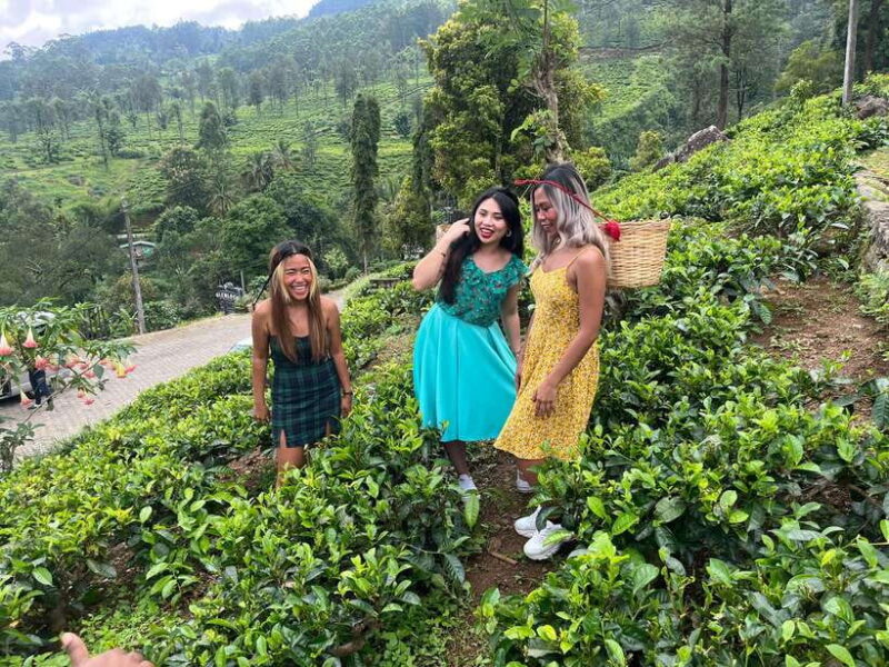 3-Day Sri Lanka Tour: Kandy Nuwara Eliya Ella & Yala Safari - The Sum Up: Who Will Love This Tour?